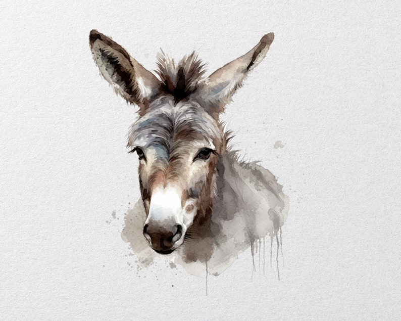Baby Donkey Clipart, Farm Animal Png, Png Bundle, Watercolor Png, Cute ...