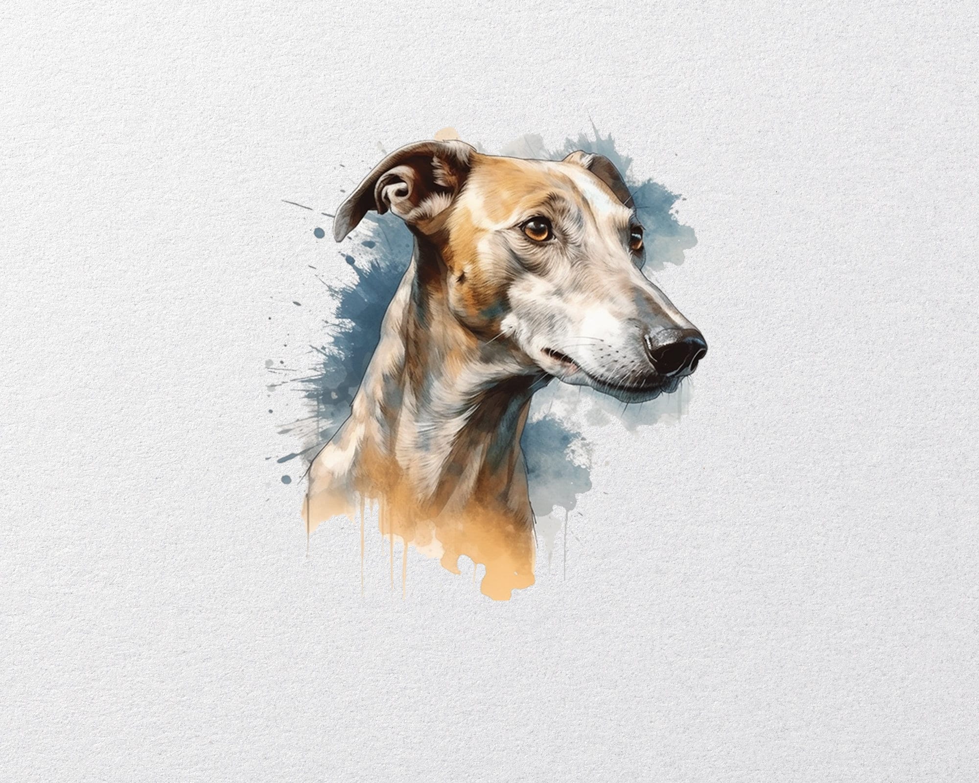 Watercolor Greyhound, 4 High Quality Pngs, Greyhound Clipart, Greyhound ...