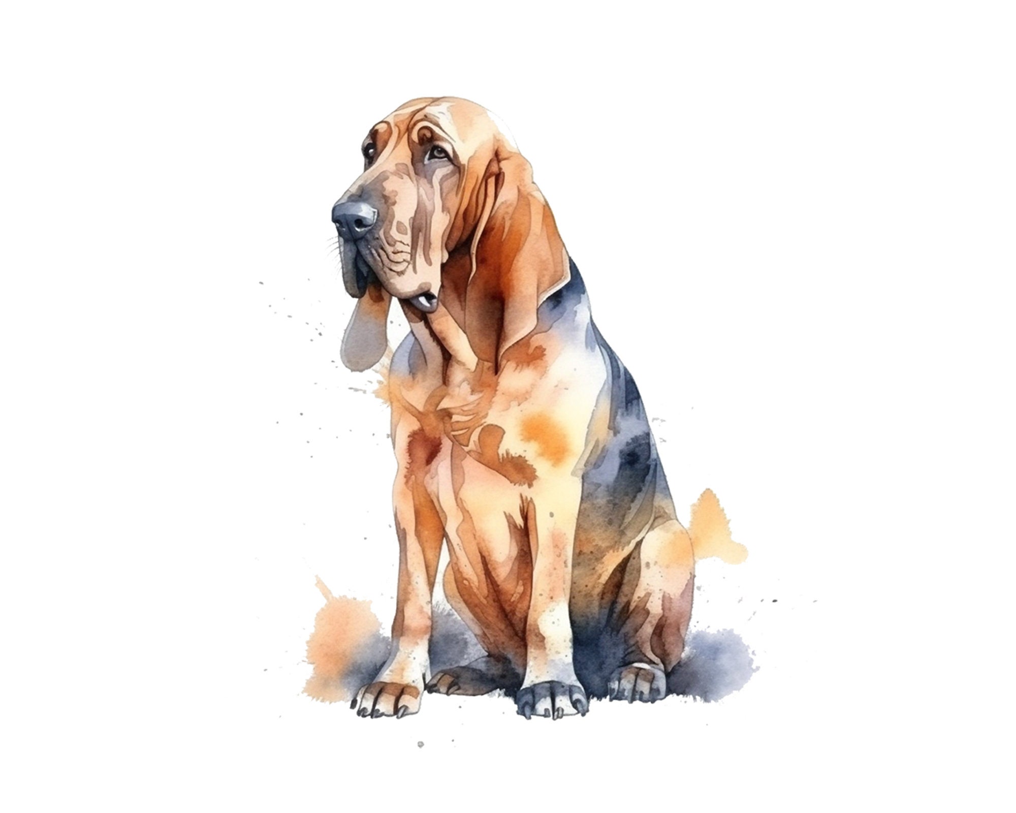 Watercolor Bloodhound, 4 High Quality Pngs, Bloodhound Clipart ...
