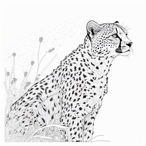 Big Cats 40 Printable Coloring Pages Instant Download - Etsy