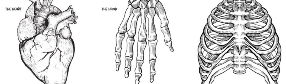 The Human Body Coloring Pages - Etsy