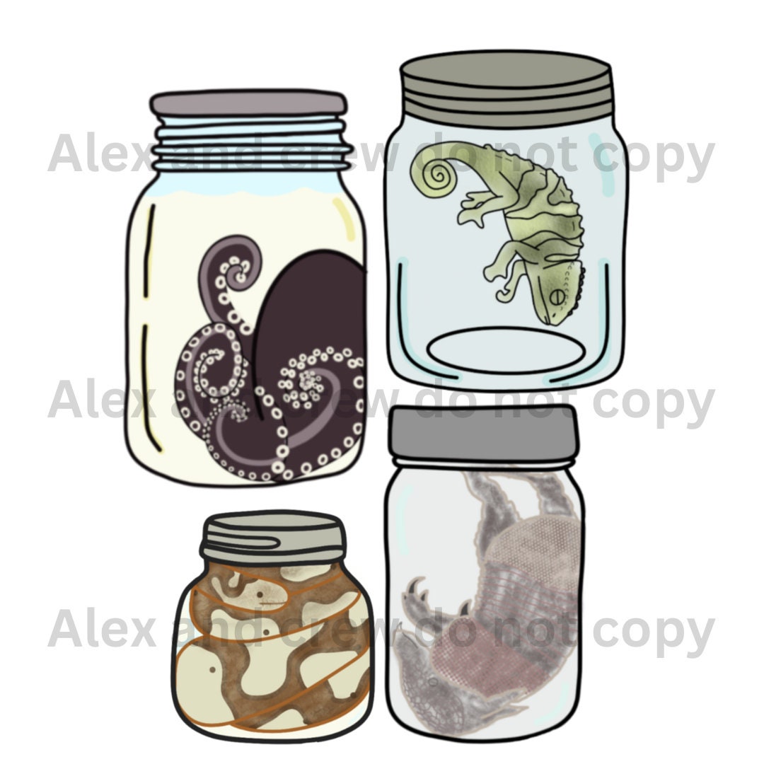 Wet Specimen PNG Transparent Background - Etsy