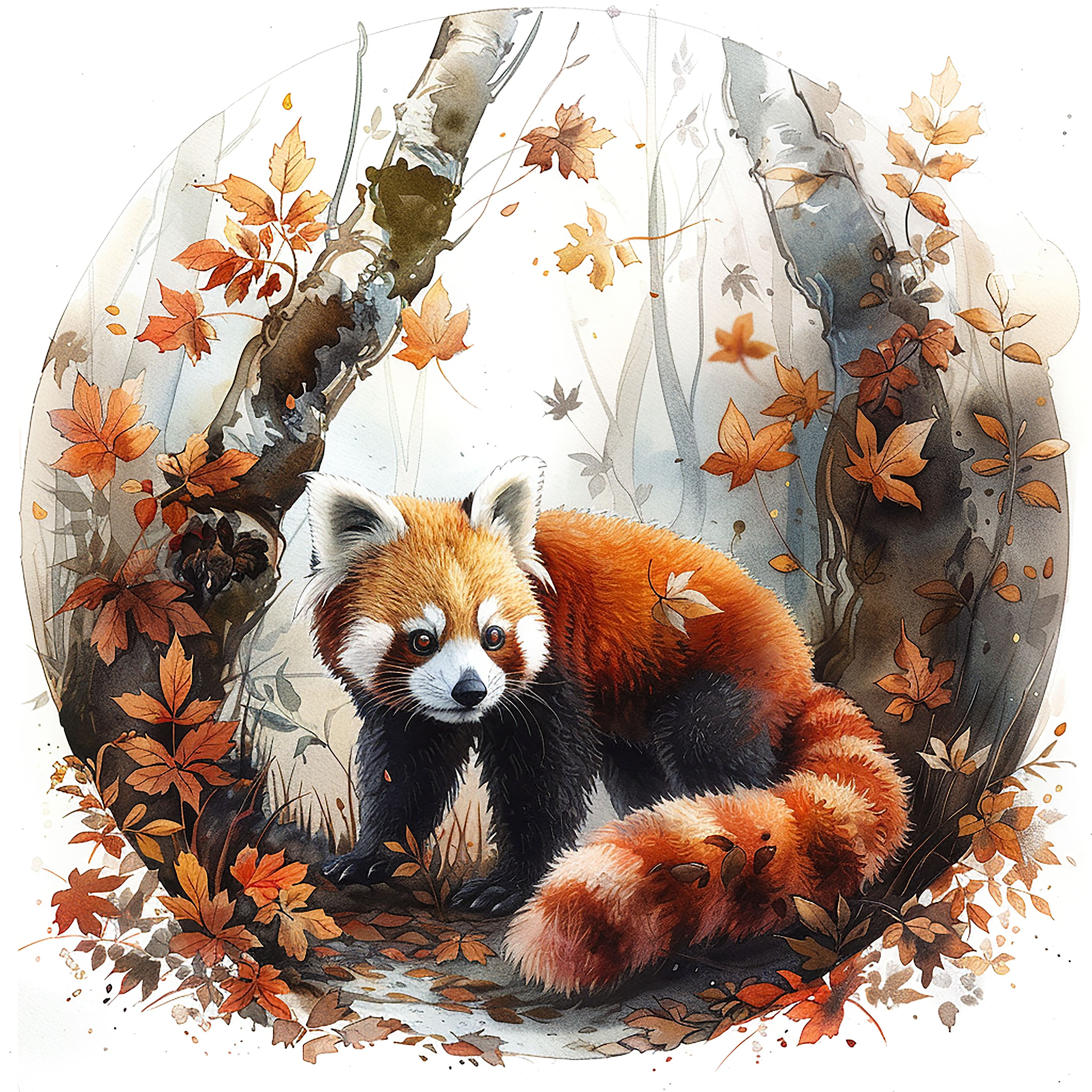 Red Panda Water Color Painting 15 High Quality JPG Clipart Pack Digital ...