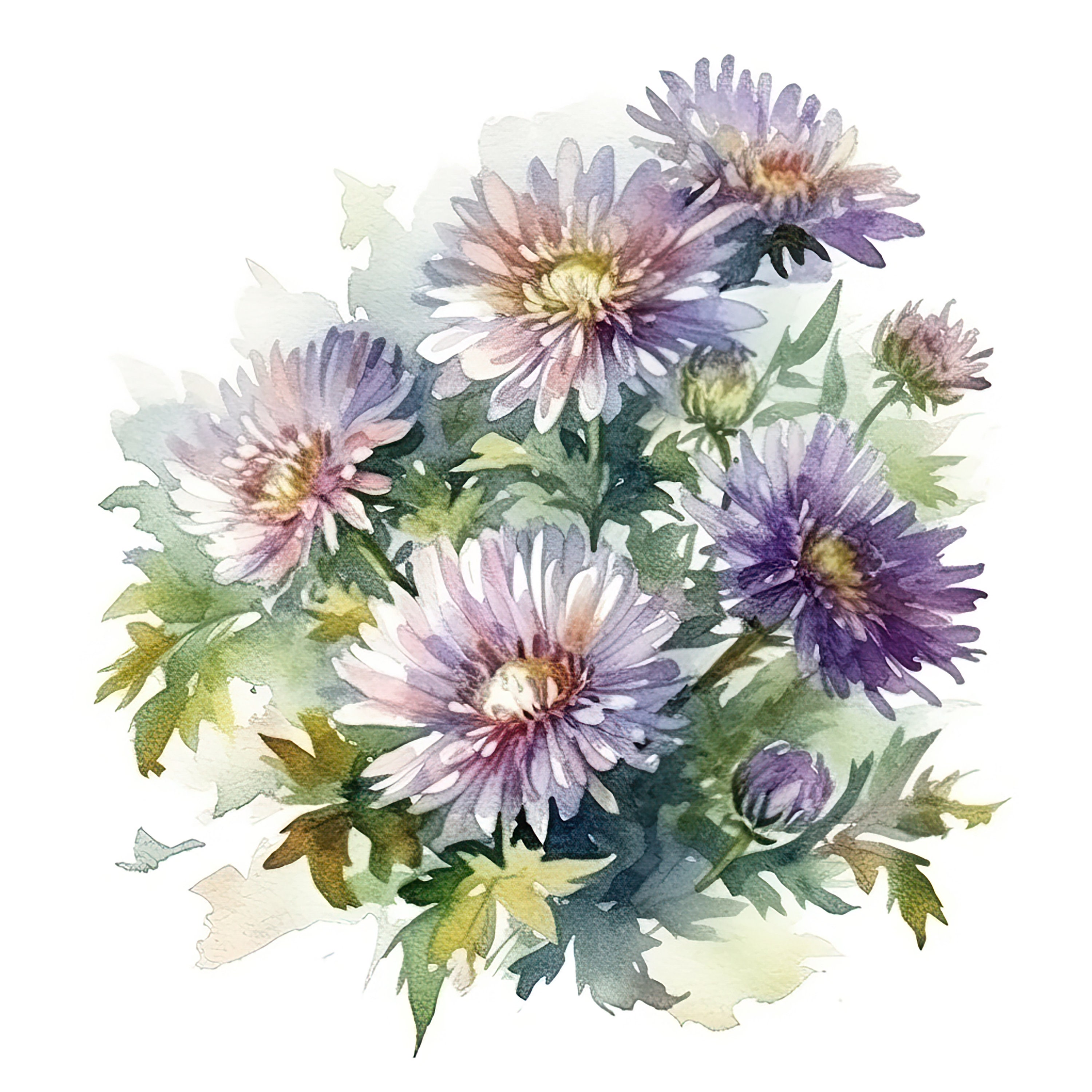 Aster Bouquet Water Color Painting | 12 High Quality JPG Clipart Pack ...