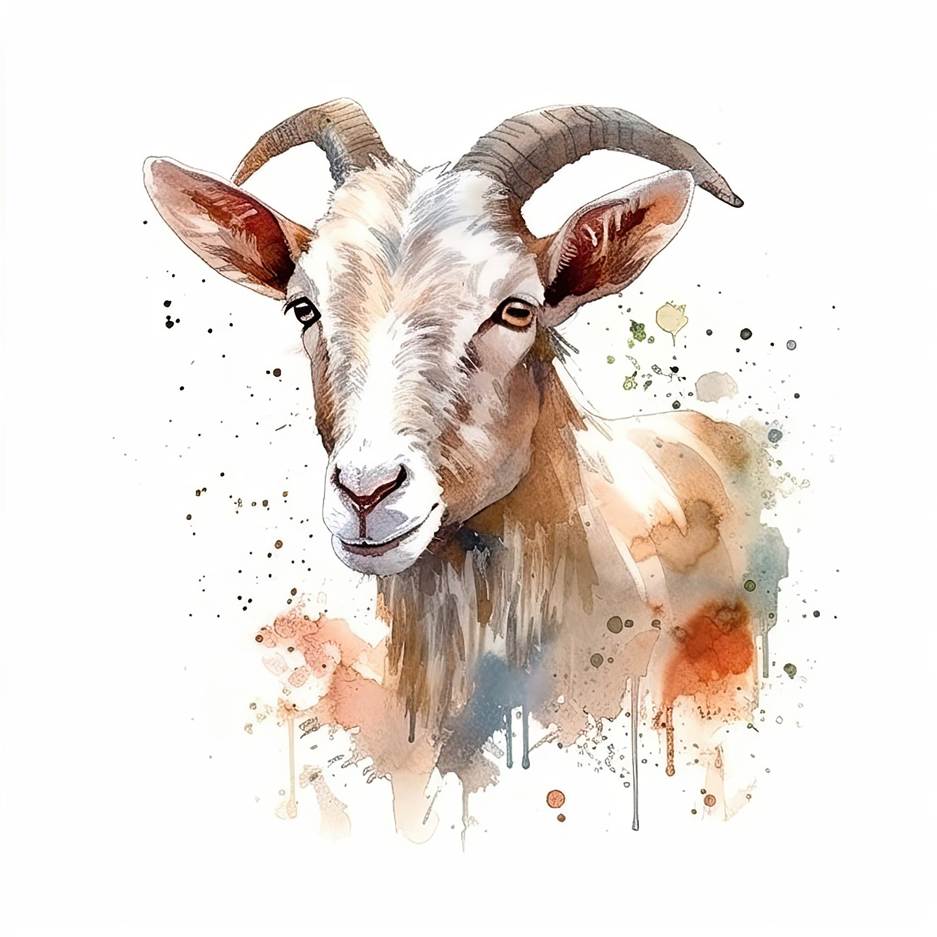 Goat Water Color Painting | 12 High Quality JPG Clipart Pack | Digital ...