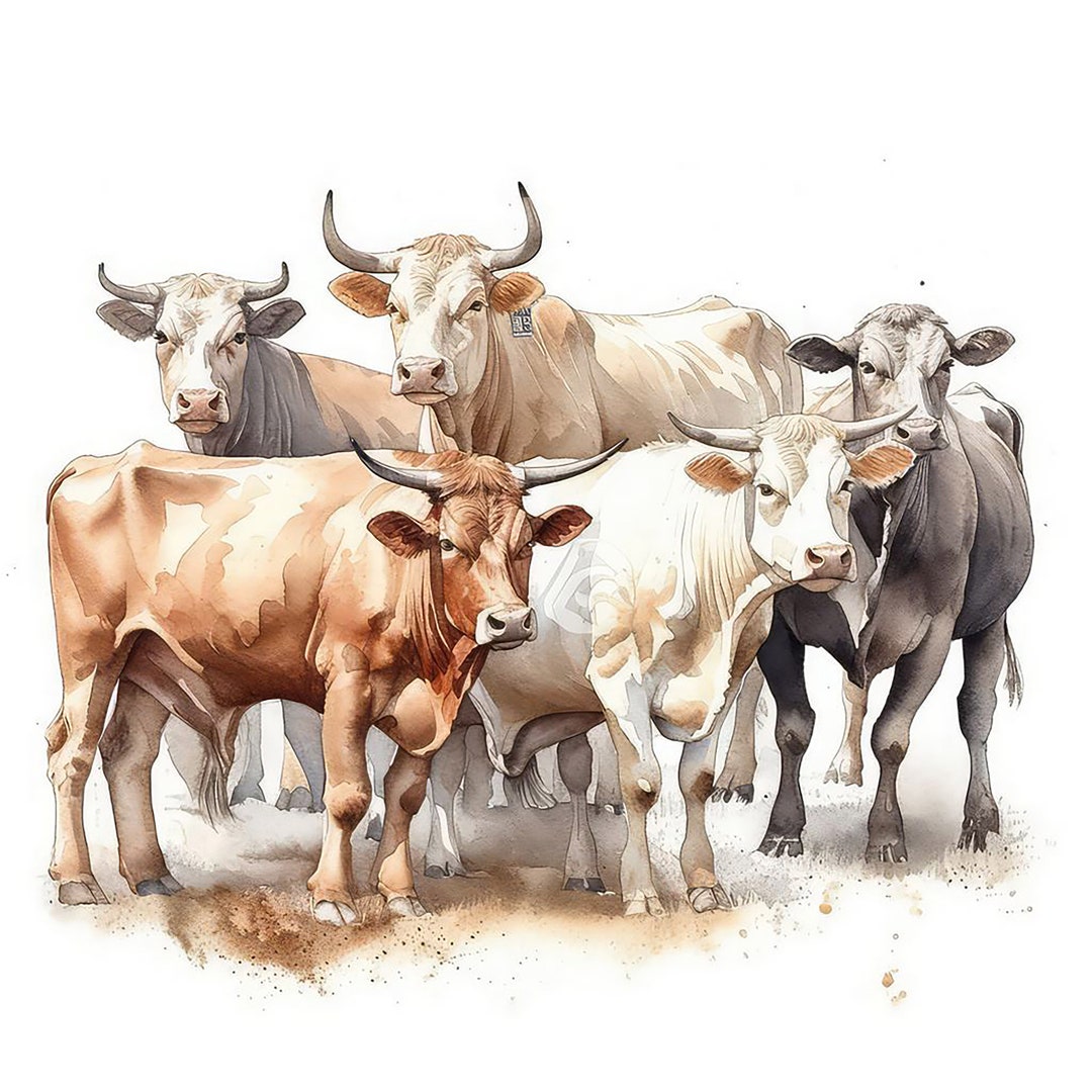 Cattle Water Color Painting | 12 High Quality JPG Clipart Pack ...