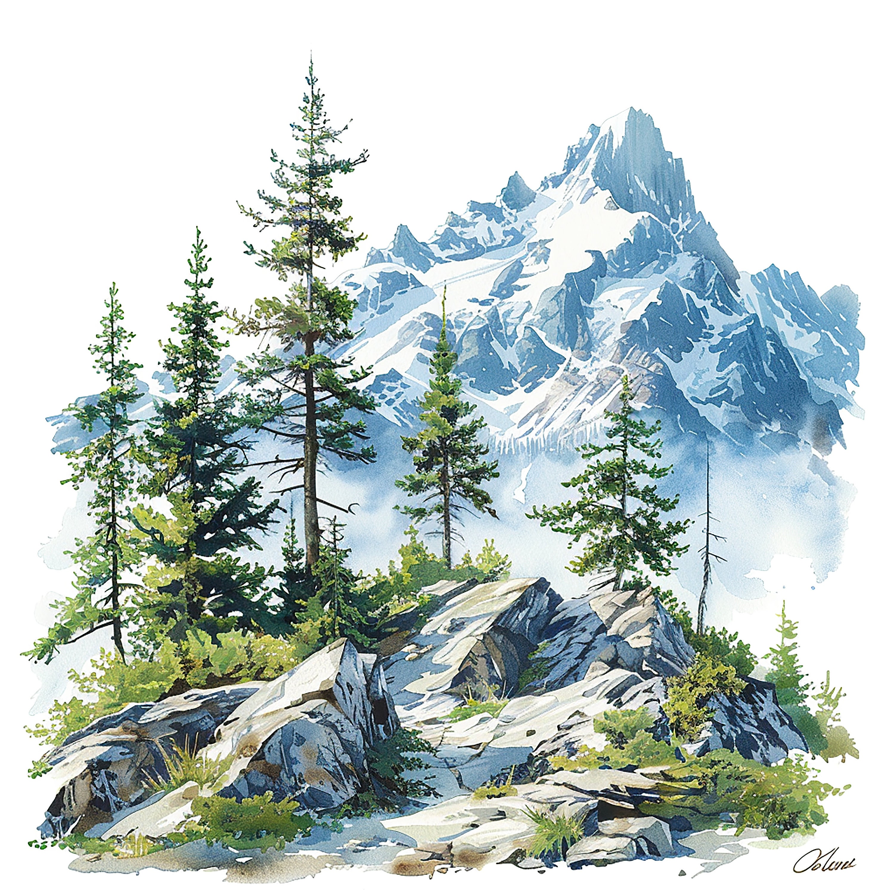 Fir Tree | Water Color Painting | 15 High Quality JPG Clipart Pack ...