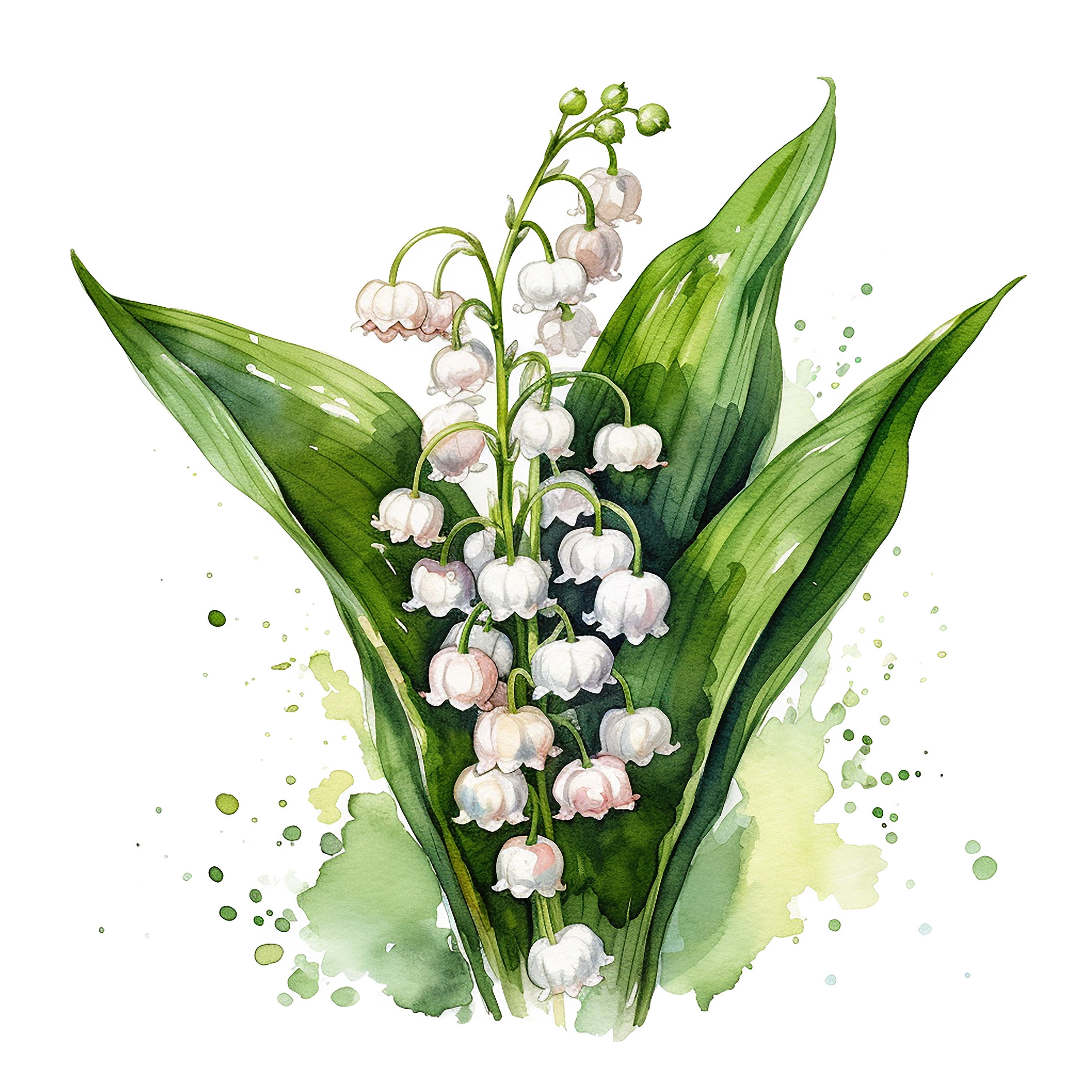Lily of the Valley Bouquet Water Color Painting | 12 High Quality JPG ...