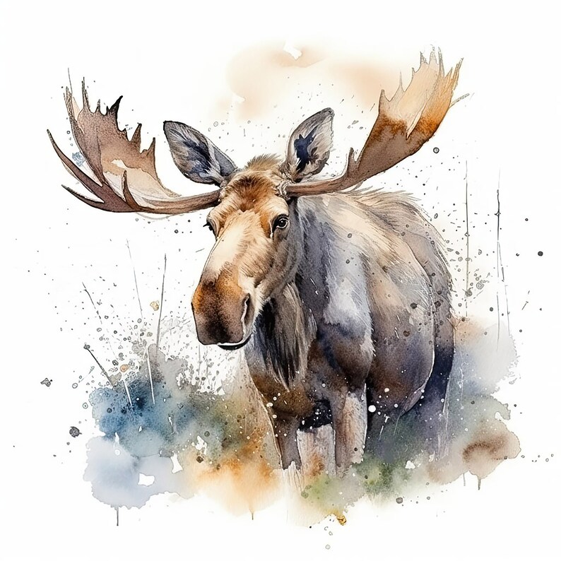 Moose Water Color Painting | 12 High Quality JPG Clipart Pack | Digital ...