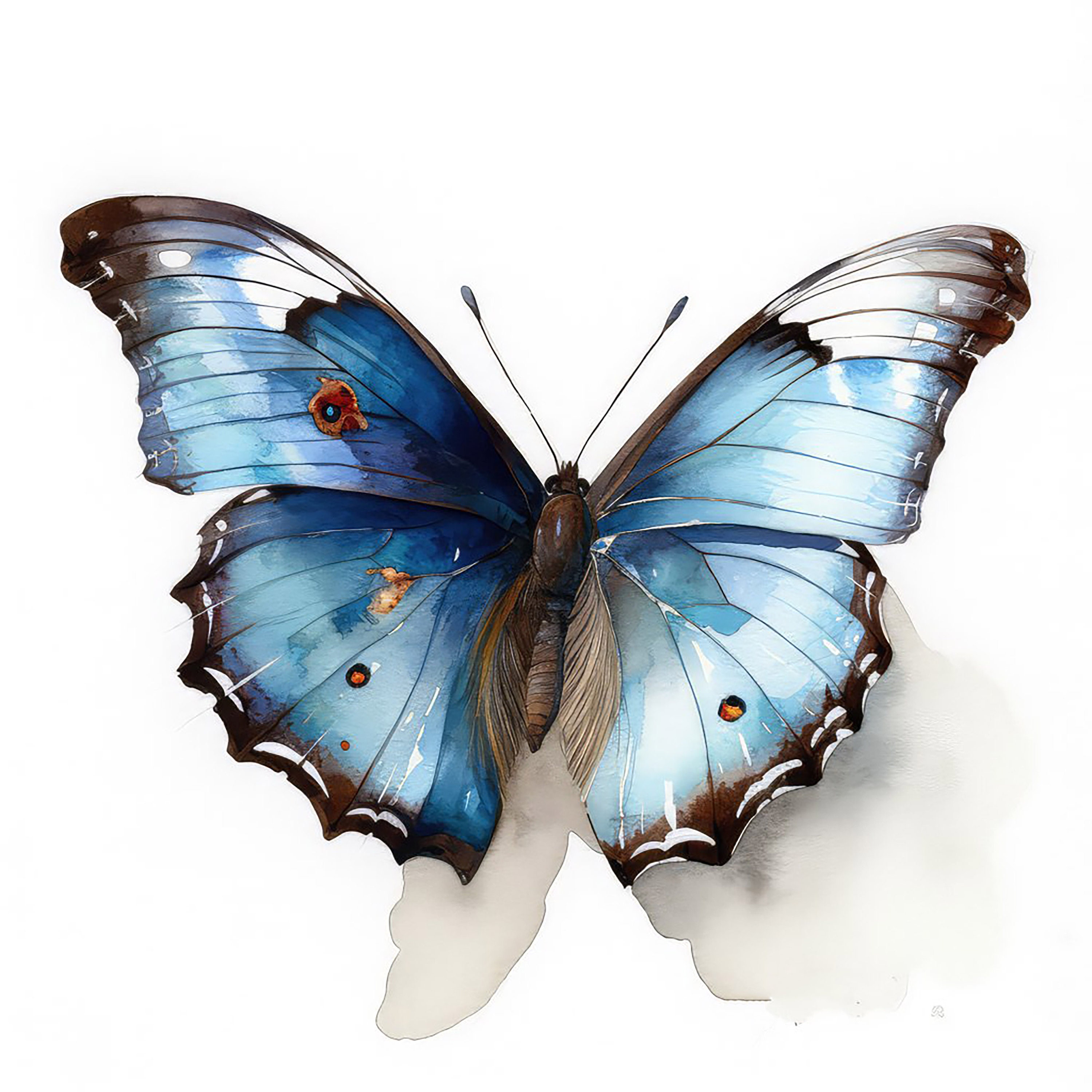 Blue Morpho Butterfly Water Color Painting | 12 High Quality JPG ...