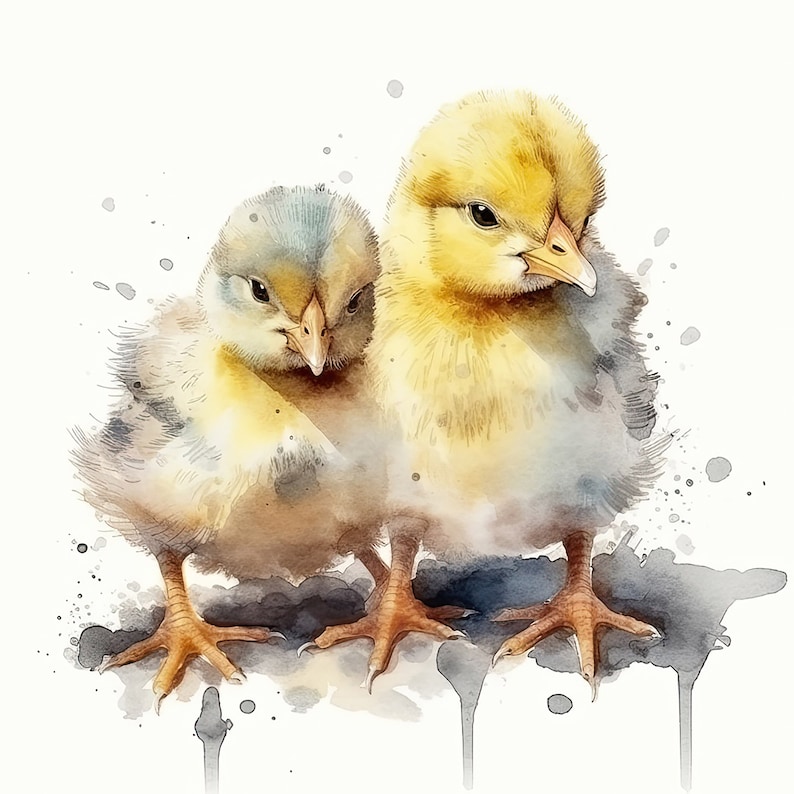 Cute Chicks Water Color Painting | 12 High Quality JPG Clipart Pack ...