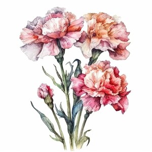 Carnation Bouquet Water Color Painting | 12 High Quality JPG Clipart ...