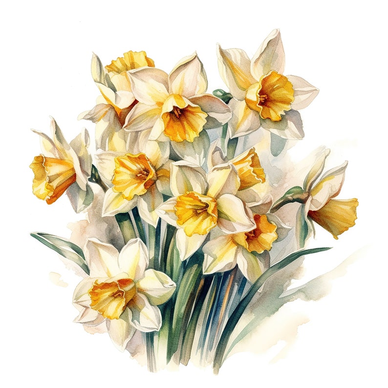 Jonquil Bouquet Water Color Painting | 12 High Quality JPG Clipart Pack ...