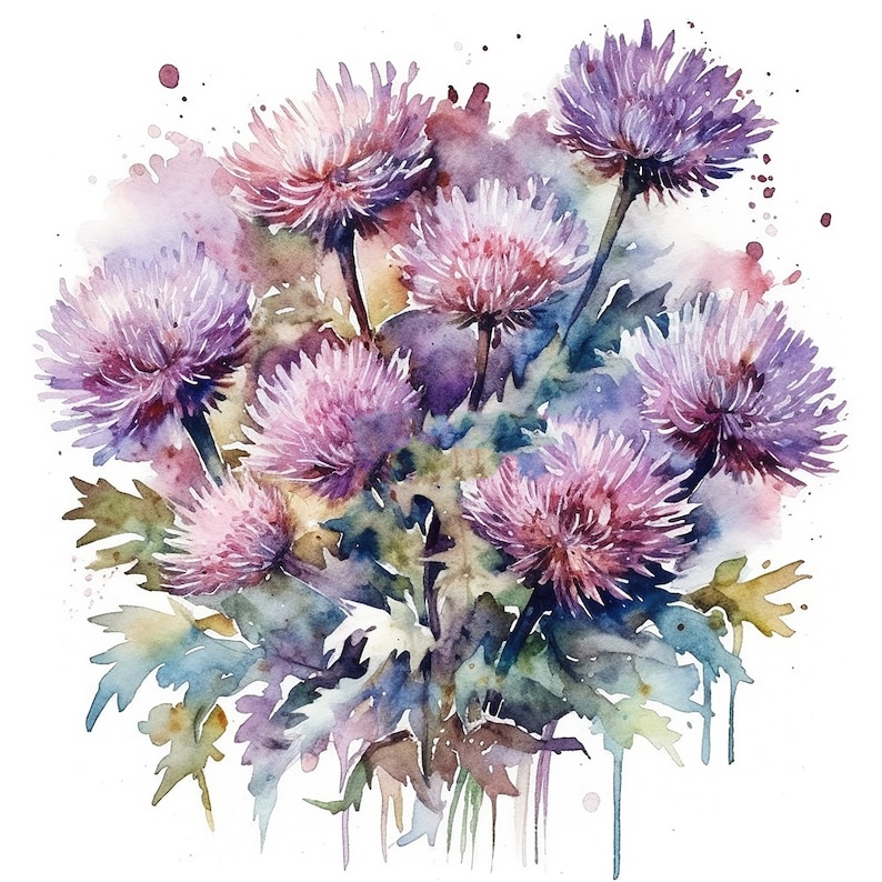 Aster Bouquet Water Color Painting | 12 High Quality JPG Clipart Pack ...