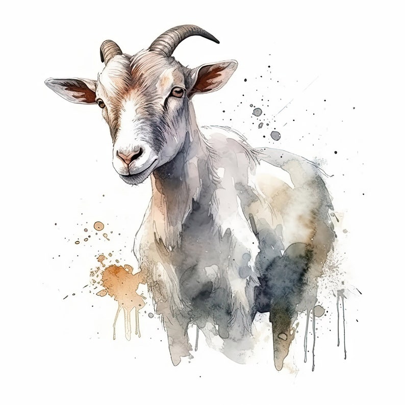 Goat Water Color Painting | 12 High Quality JPG Clipart Pack | Digital ...