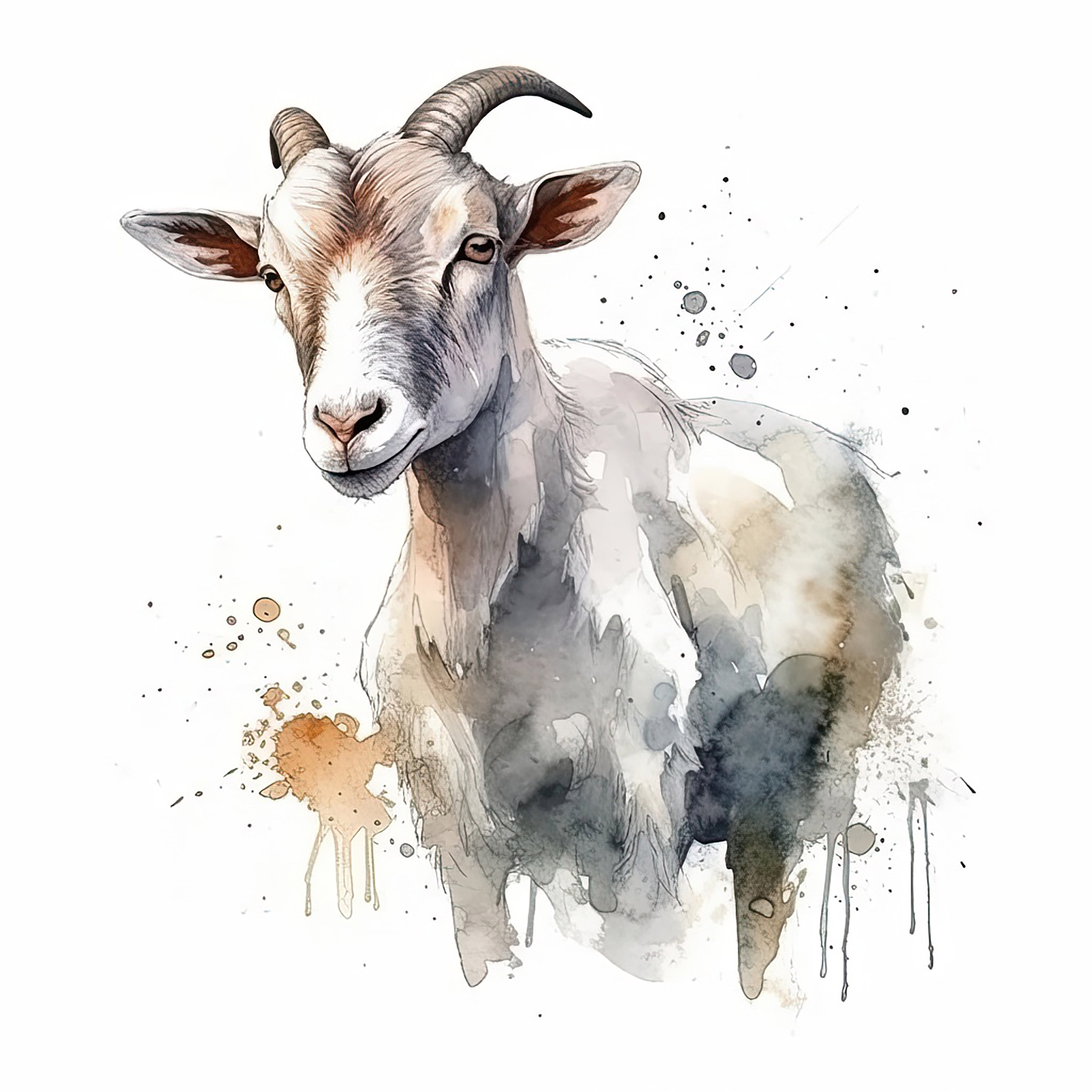 Goat Water Color Painting | 12 High Quality JPG Clipart Pack | Digital ...