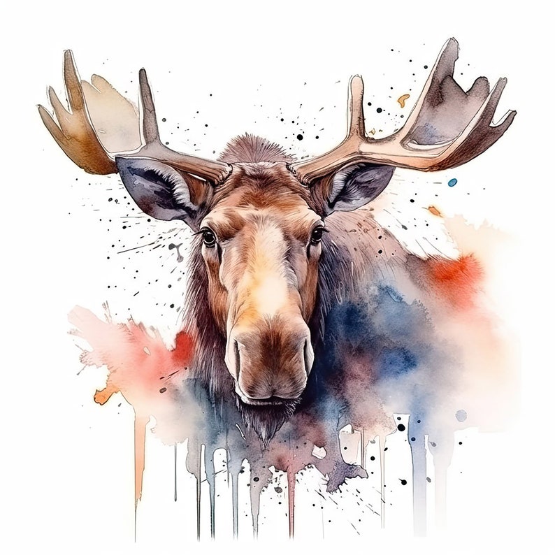 Moose Water Color Painting | 12 High Quality JPG Clipart Pack | Digital ...