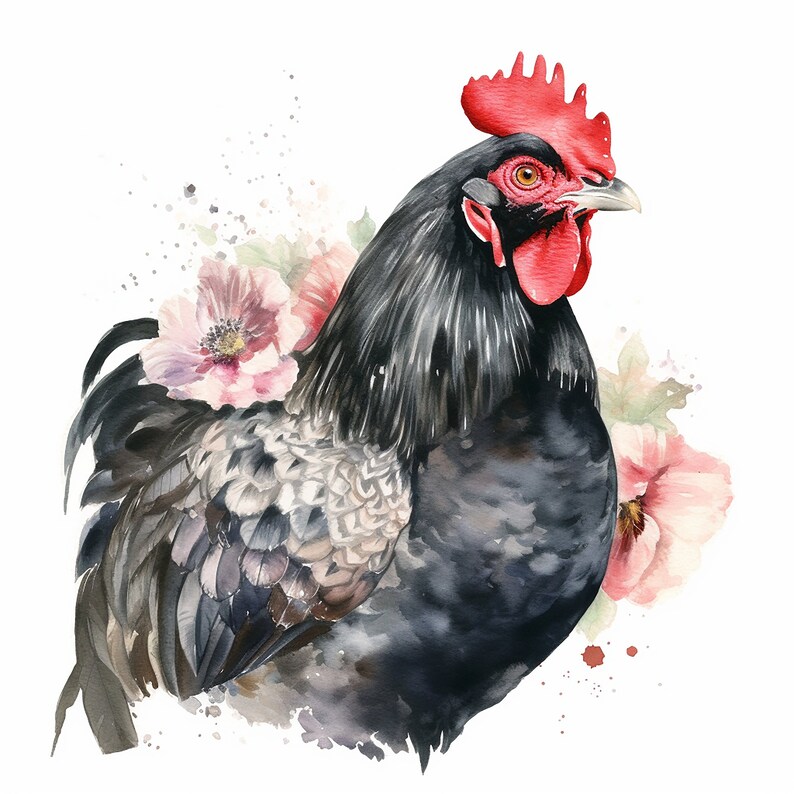 Black Rose Comb Chicken Water Color Painting | 12 High Quality JPG ...