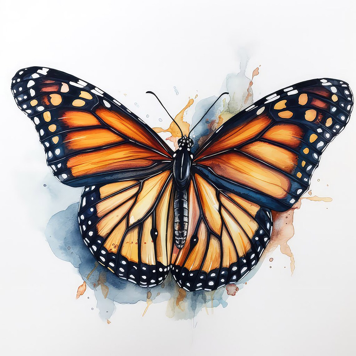 Monarch Butterfly Water Color Painting | 12 High Quality JPG Clipart ...