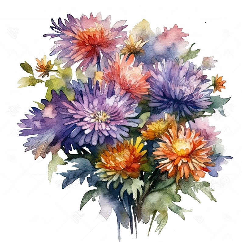 Aster Bouquet Water Color Painting | 12 High Quality JPG Clipart Pack ...