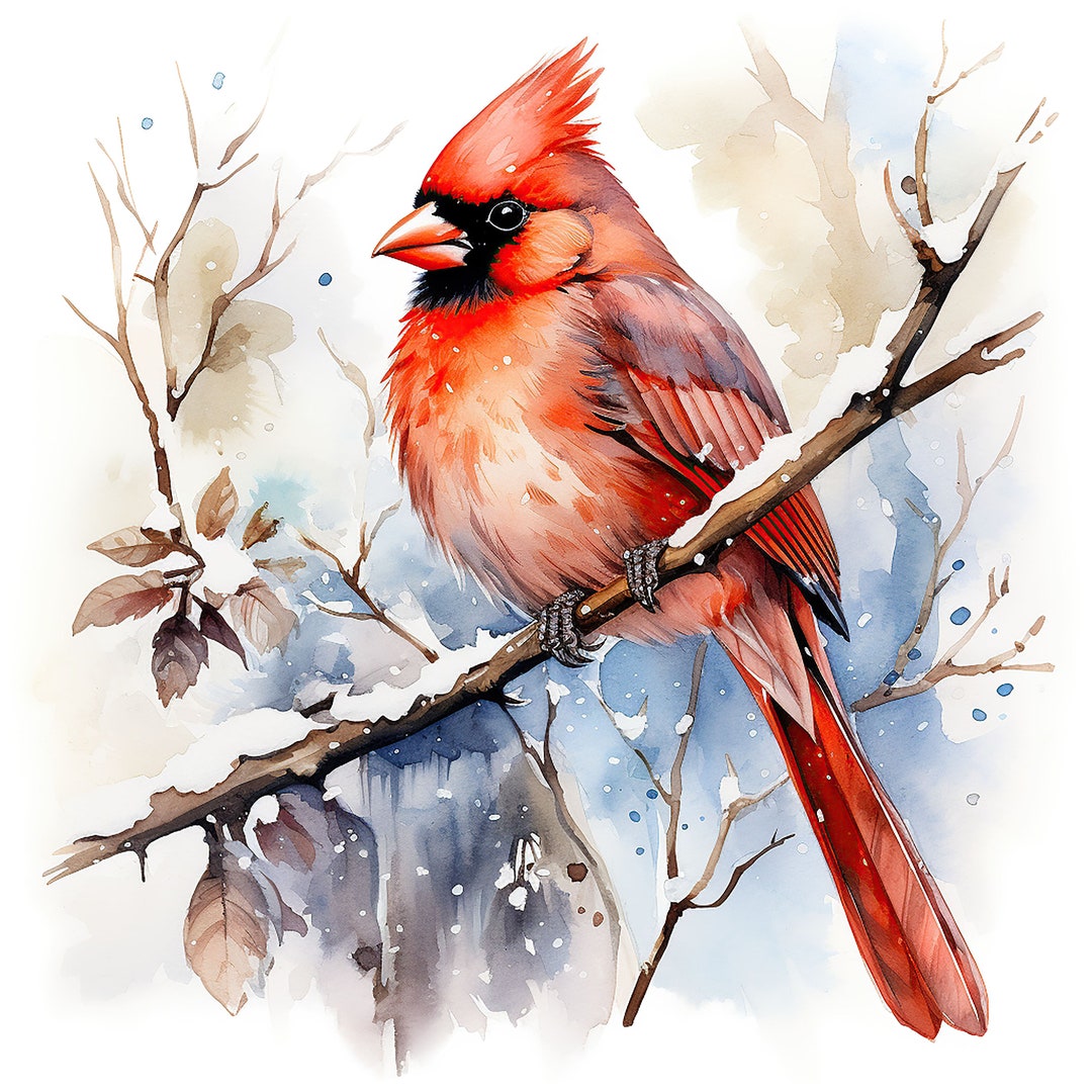 Cardinals Water Color Painting | 16 High Quality JPG Clipart Pack ...