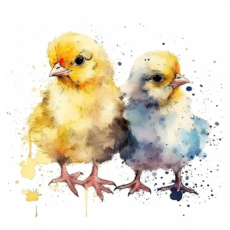 Cute Chicks Water Color Painting | 12 High Quality JPG Clipart Pack ...