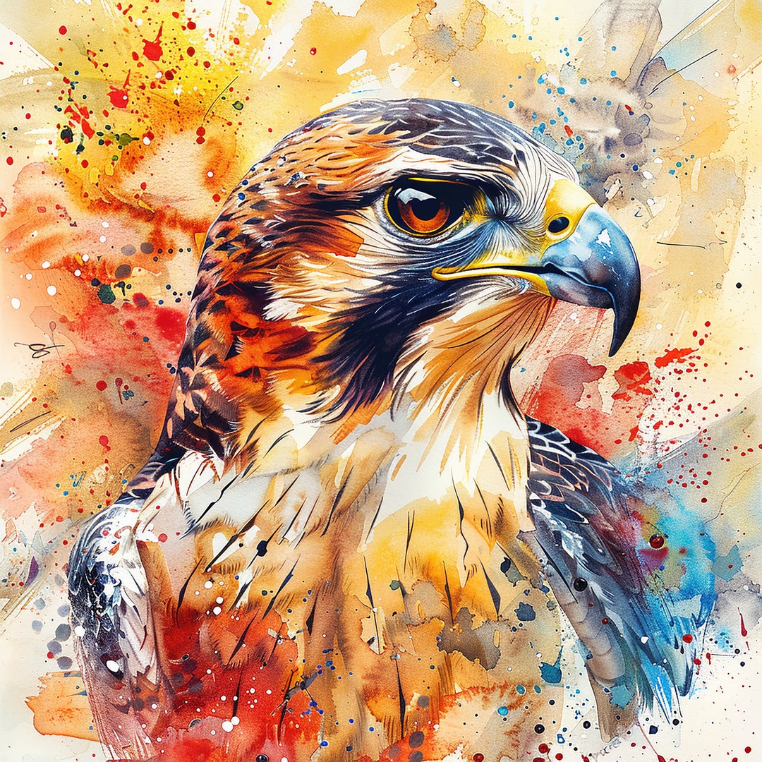 Falcon | Water Color Painting | 16 High Quality JPG Clipart Pack ...