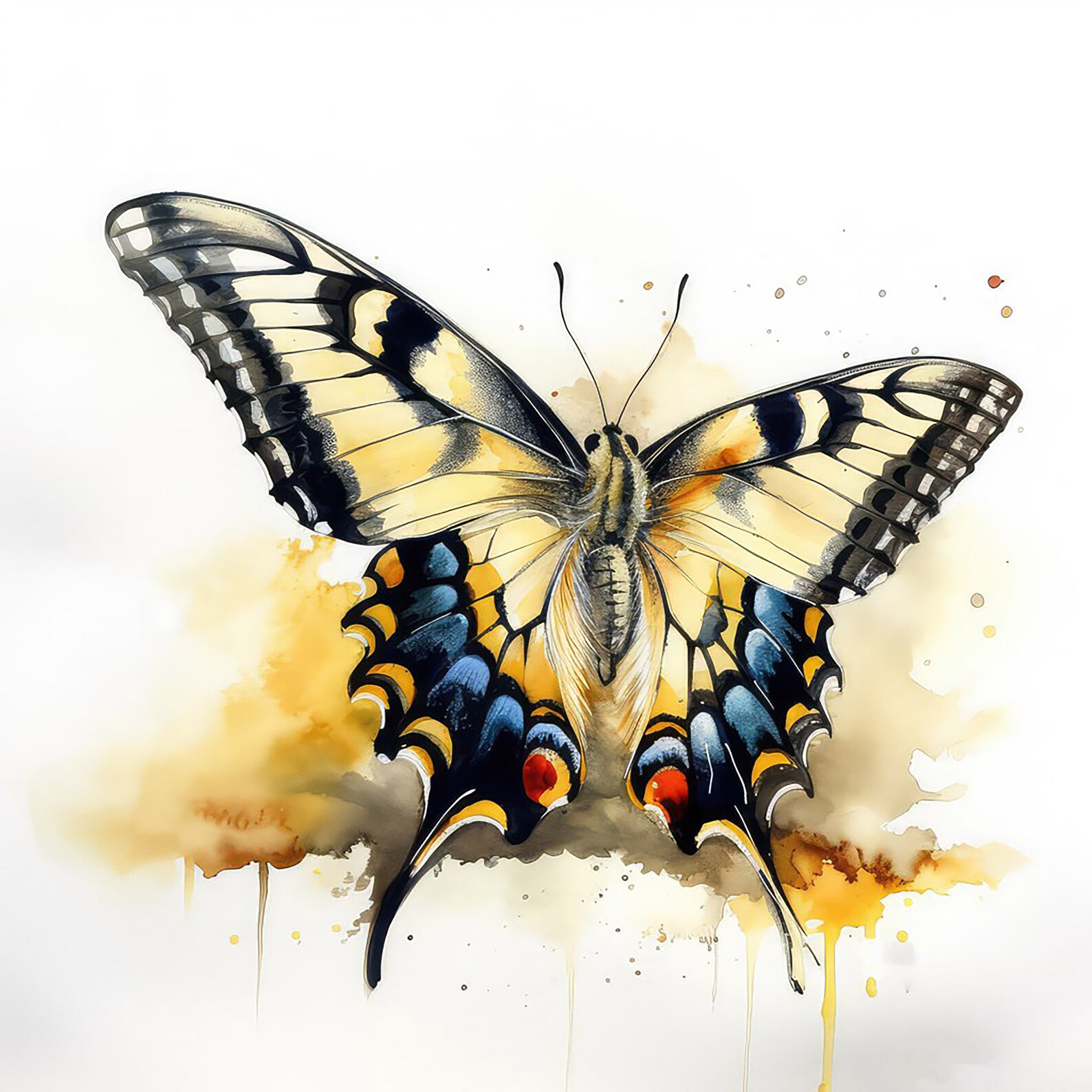 Swallowtail Butterfly Water Color Painting | 12 High Quality JPG ...
