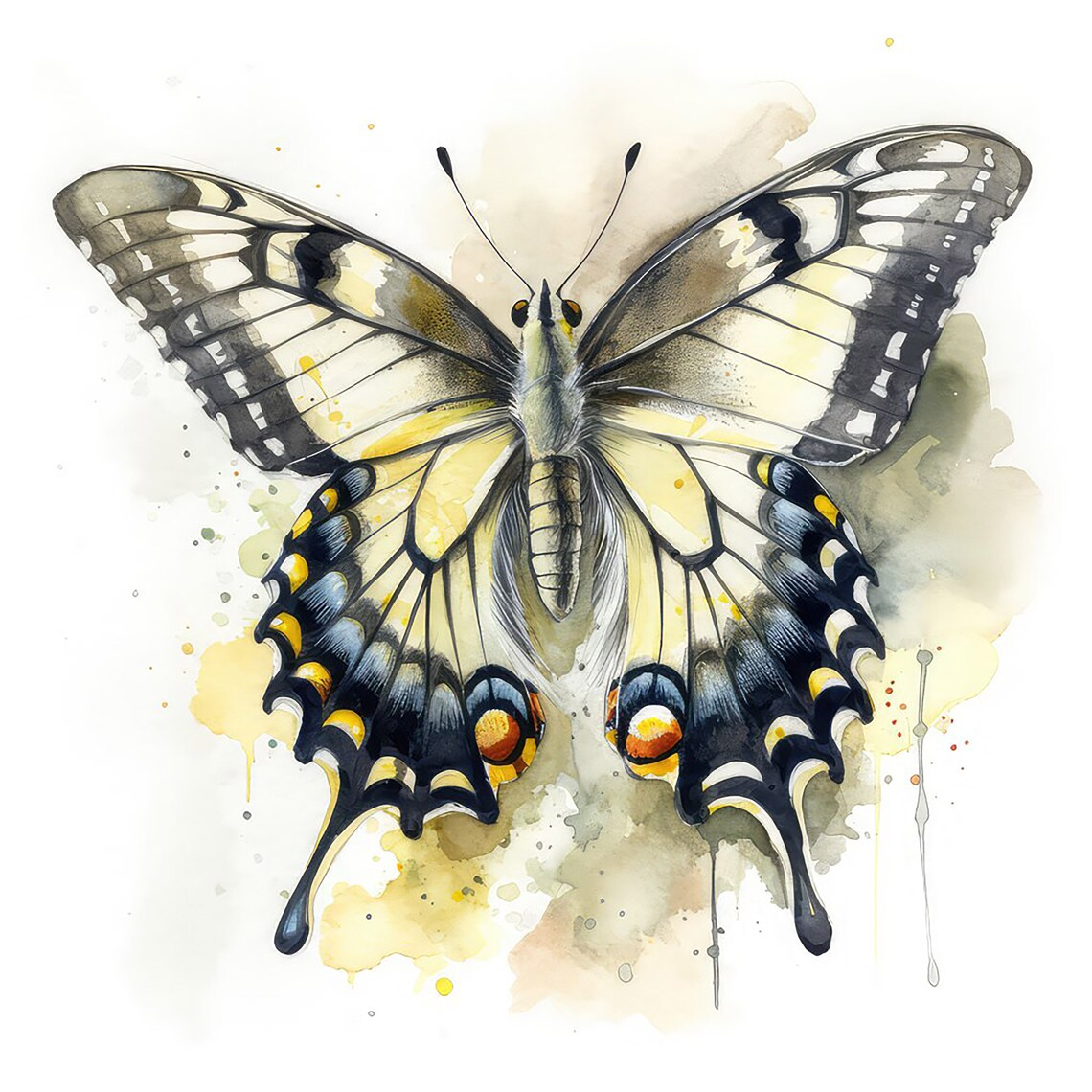 Swallowtail Butterfly Water Color Painting | 12 High Quality JPG ...