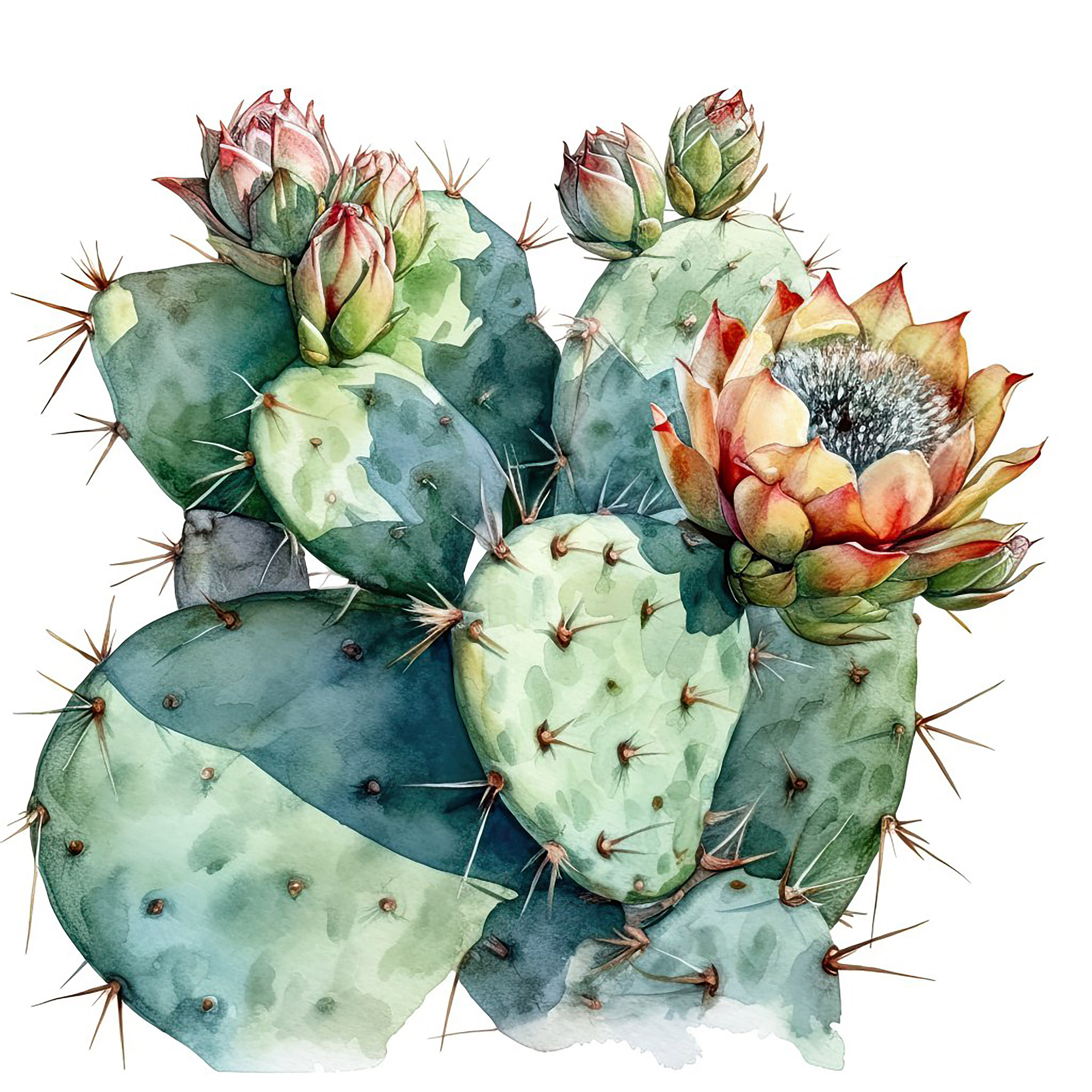 Cactus Water Color Painting | 12 High Quality JPG Clipart Pack ...