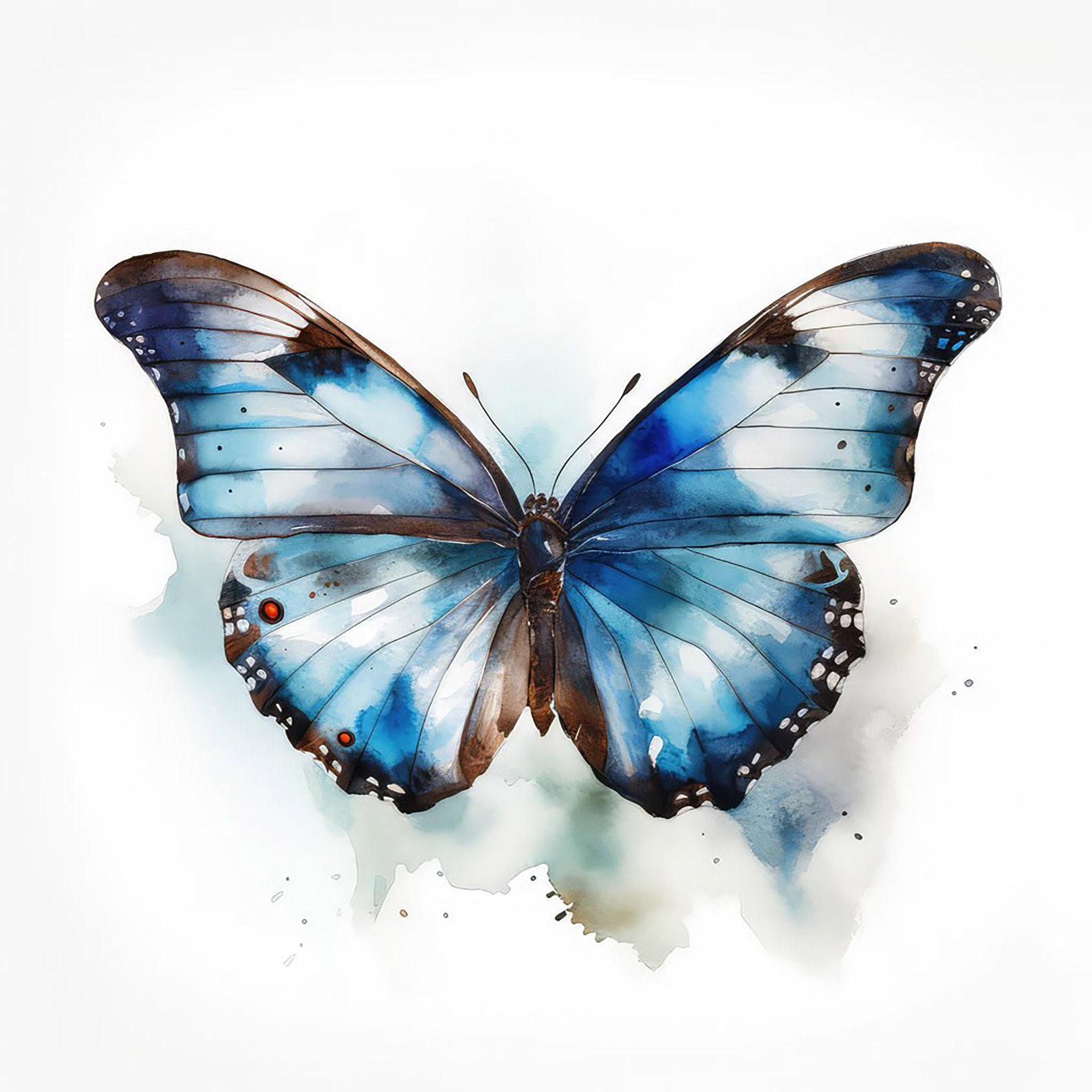 Blue Morpho Butterfly Water Color Painting | 12 High Quality JPG ...