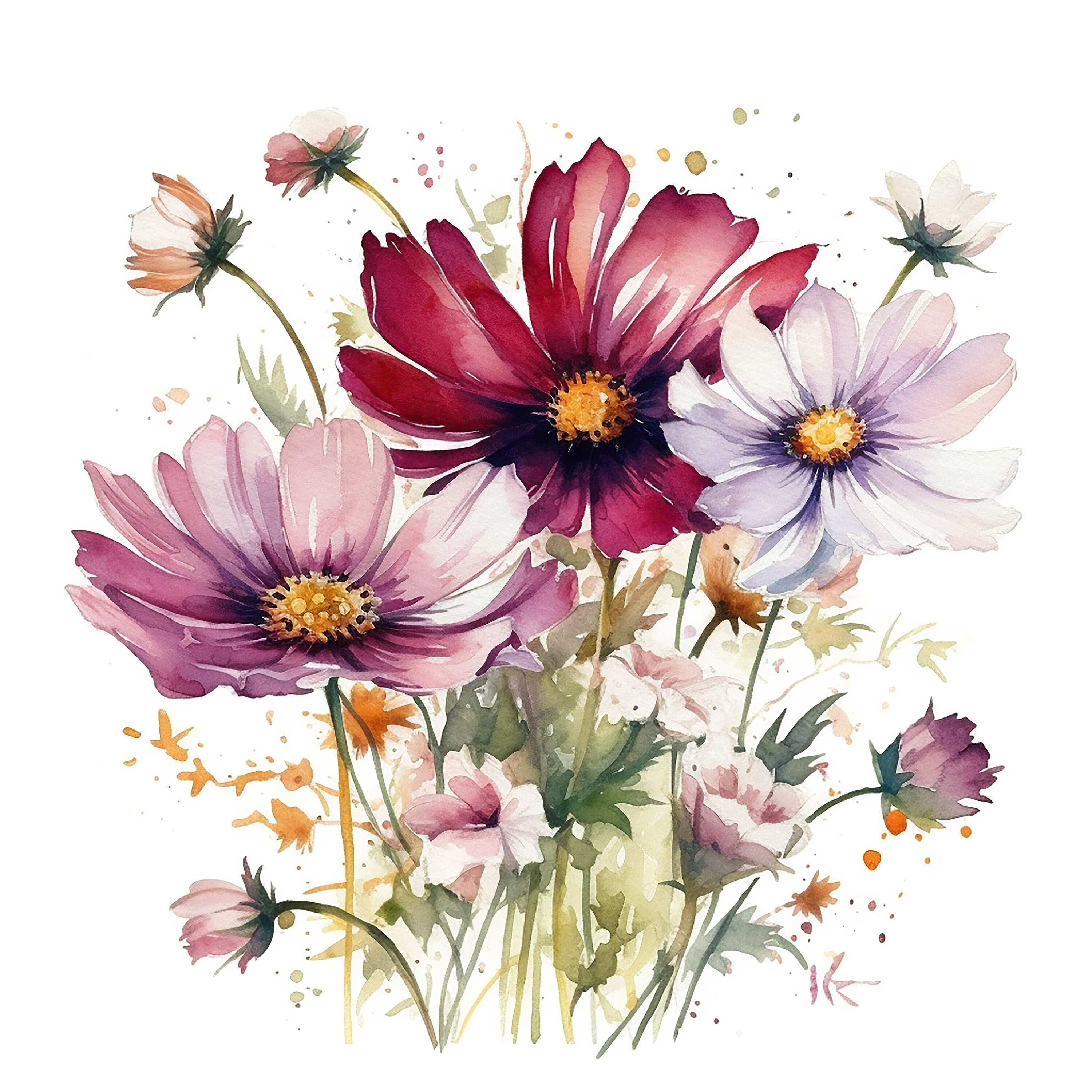 Cosmos Bouquet Water Color Painting | 12 High Quality JPG Clipart Pack ...