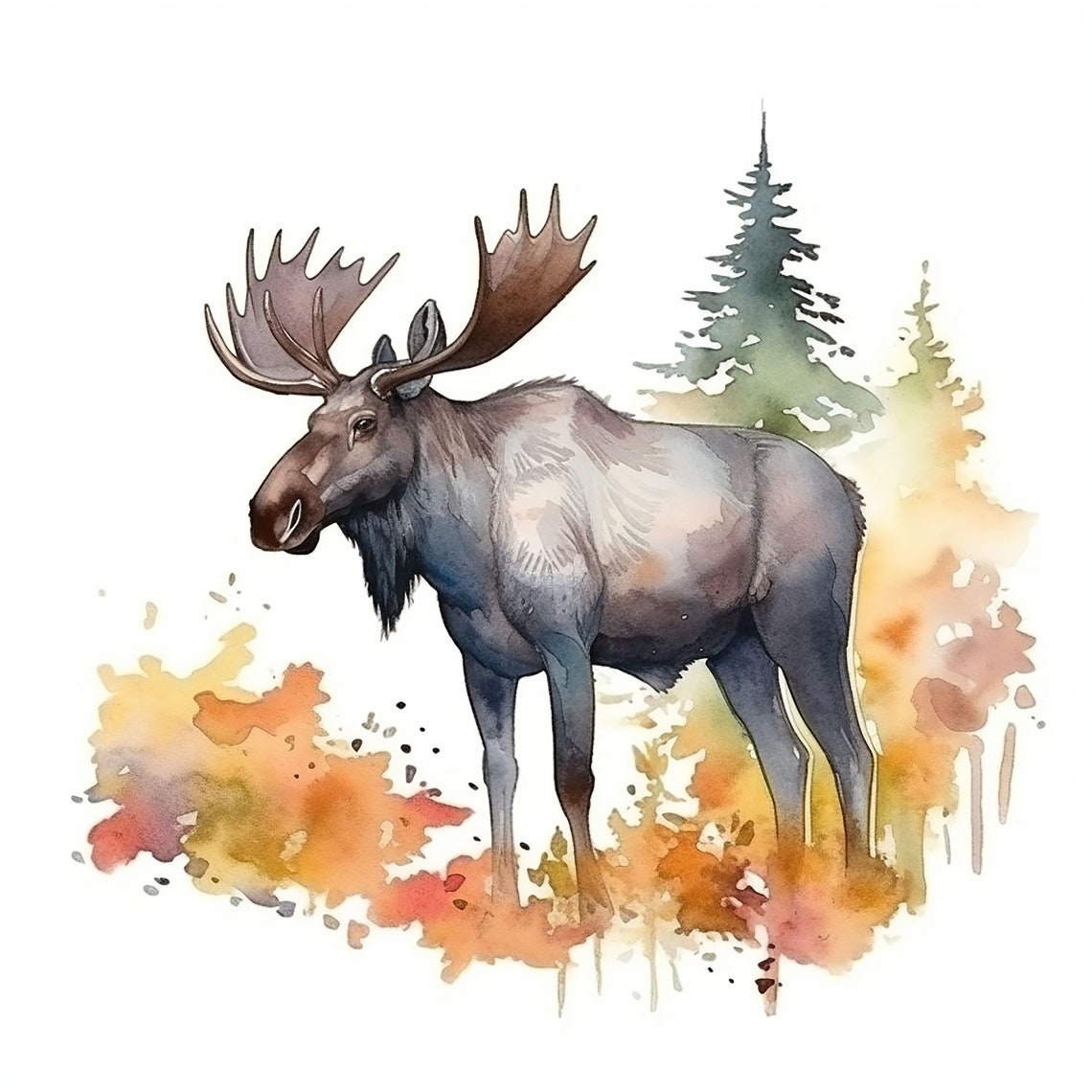 Moose Water Color Painting | 15 High Quality JPG Clipart Pack | Digital ...