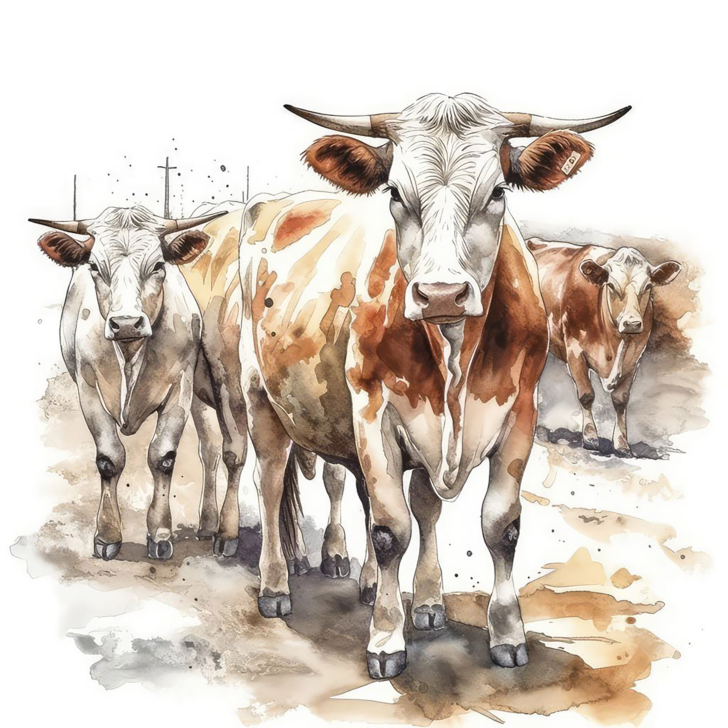 Cattle Water Color Painting | 12 High Quality JPG Clipart Pack ...