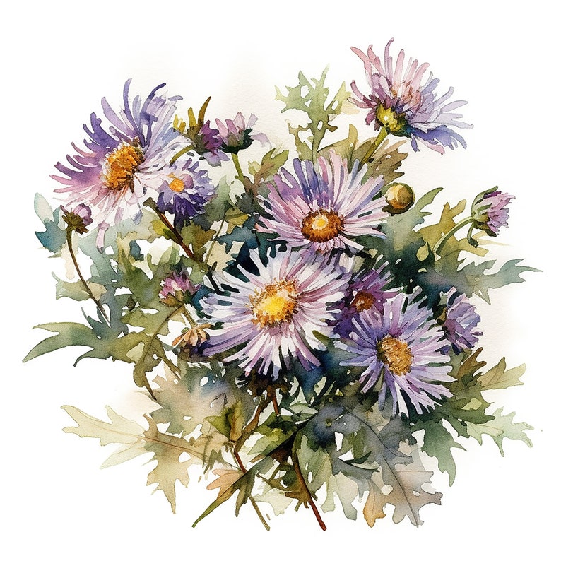 Aster Bouquet Water Color Painting | 12 High Quality JPG Clipart Pack ...