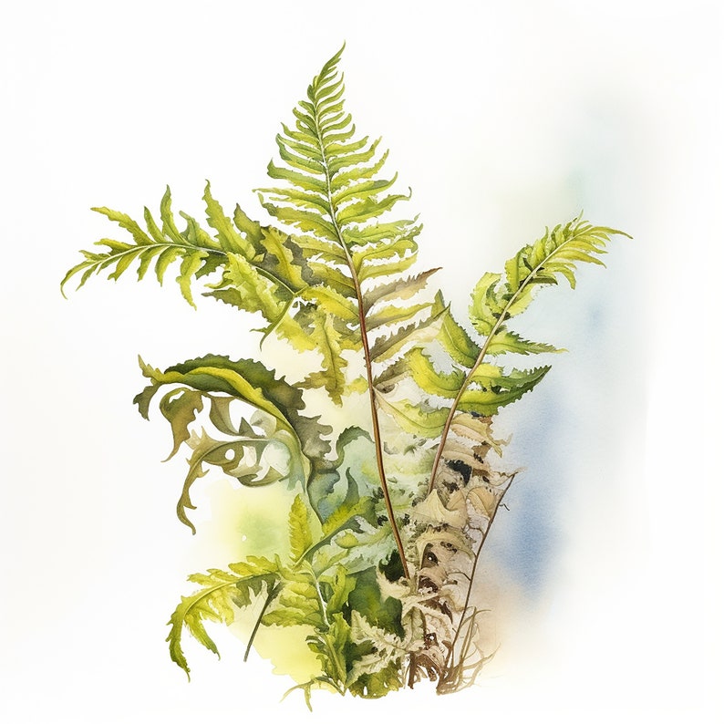 Fern Leaves Water Color Painting | 12 High Quality JPG Clipart Pack ...