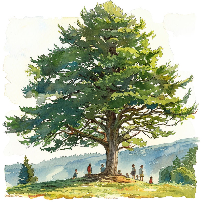 Cedar Tree Water Color Painting | 16 High Quality JPG Clipart Pack ...