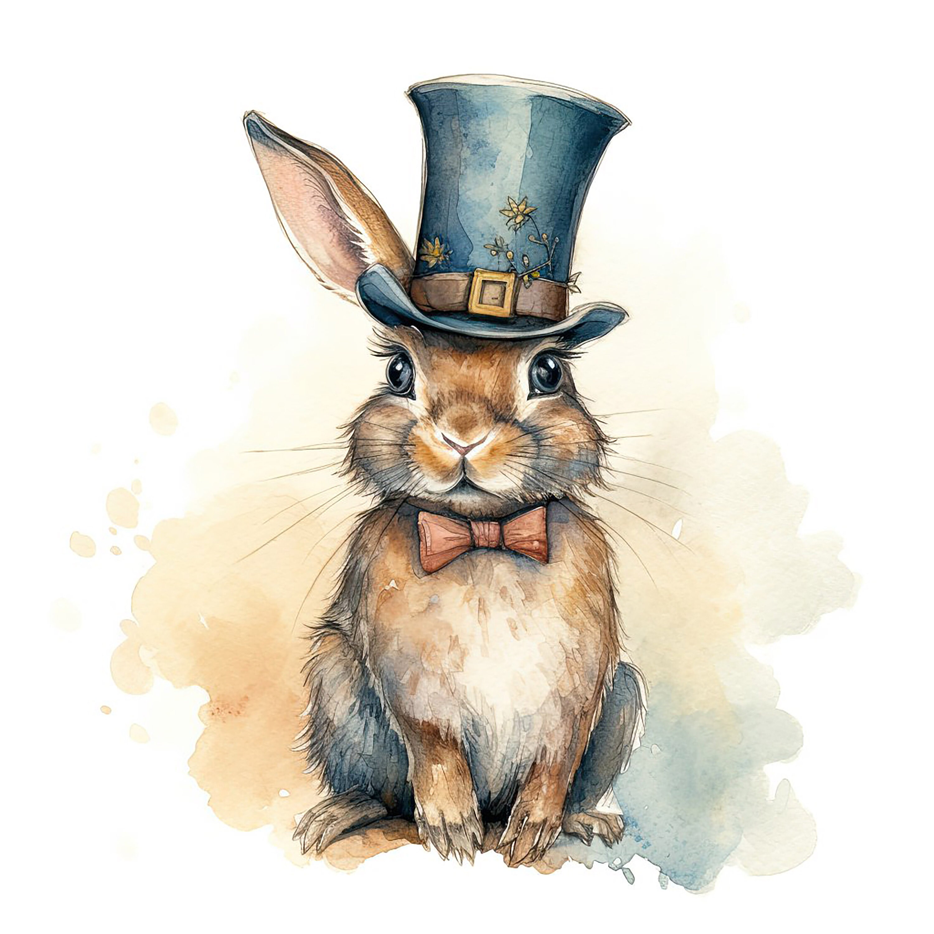 Rabbit in a Top Hat Color Painting | 12 High Quality JPG Clipart Pack ...