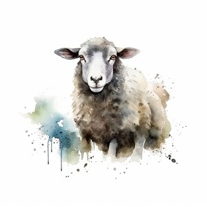 Sheep Water Color Painting | 12 High Quality JPG Clipart Pack | Digital ...