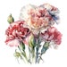 Carnation Bouquet Water Color Painting | 12 High Quality JPG Clipart ...