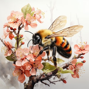 Bumblebee Water Color Painting | 15 High Quality JPG Clipart Pack ...