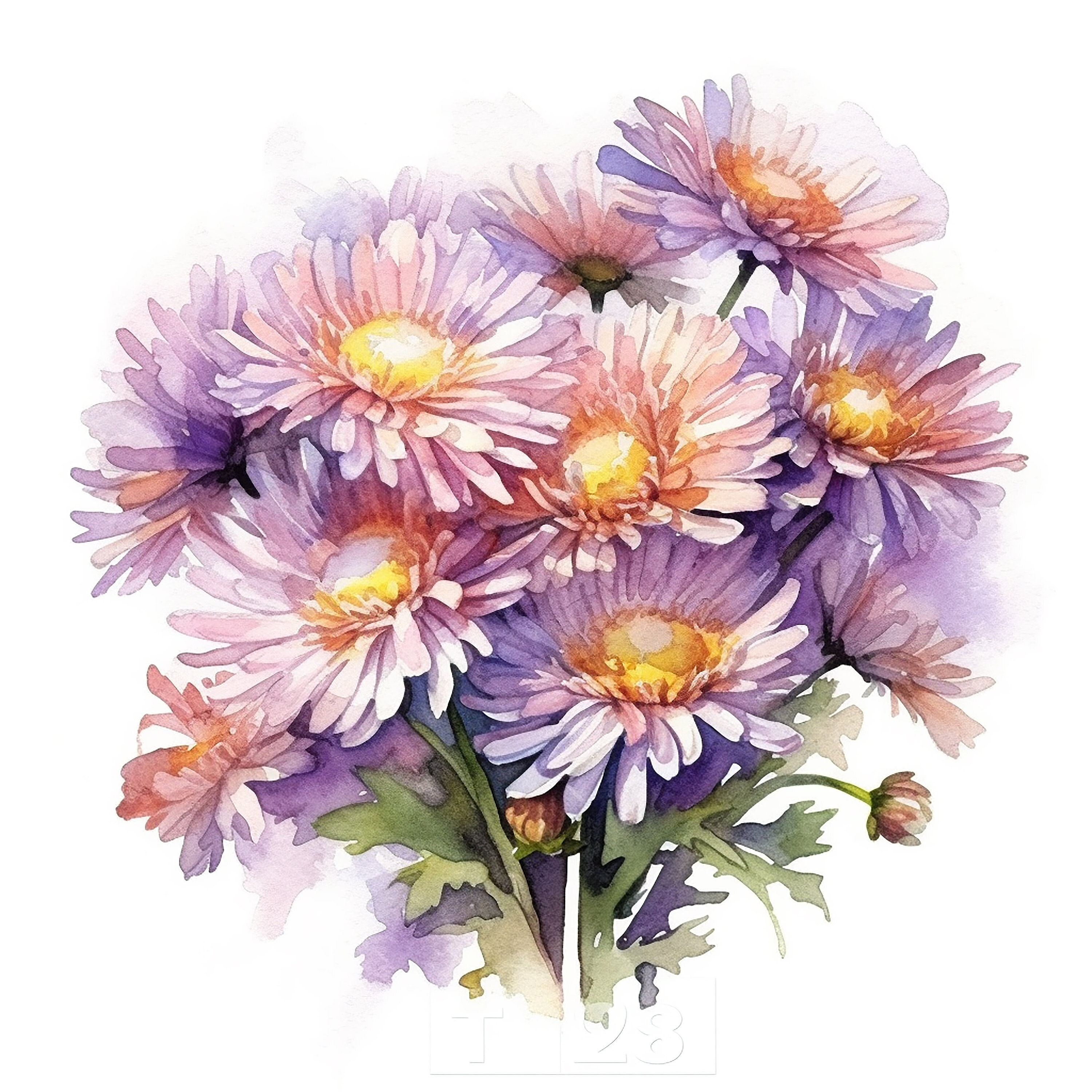 Aster Bouquet Water Color Painting | 12 High Quality JPG Clipart Pack ...