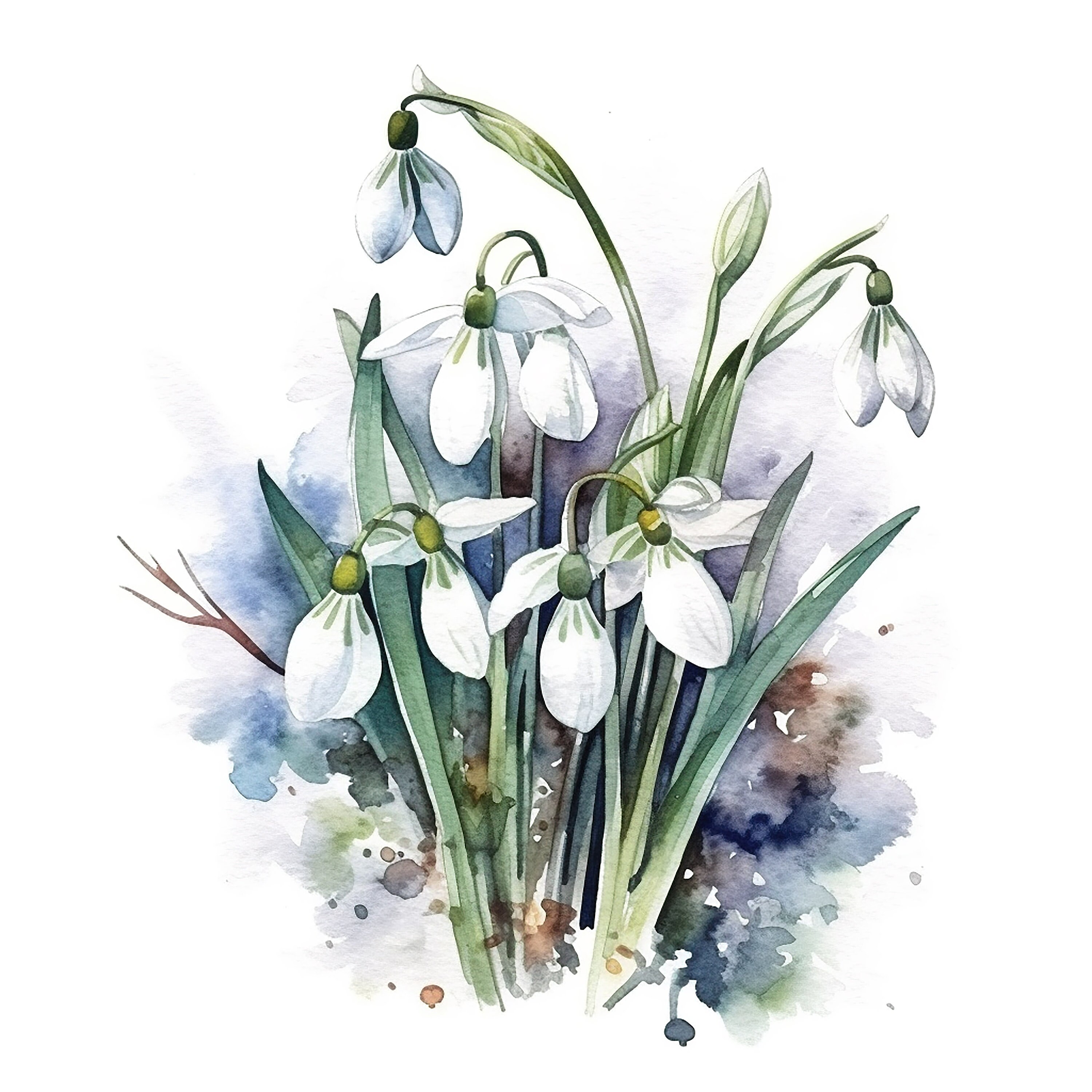 Snowdrop Bouquet Water Color Painting 12 High Quality JPG Clipart Pack ...