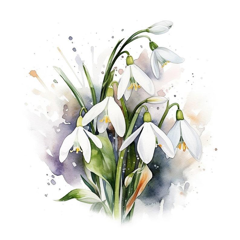 Snowdrop Bouquet Water Color Painting | 12 High Quality JPG Clipart ...