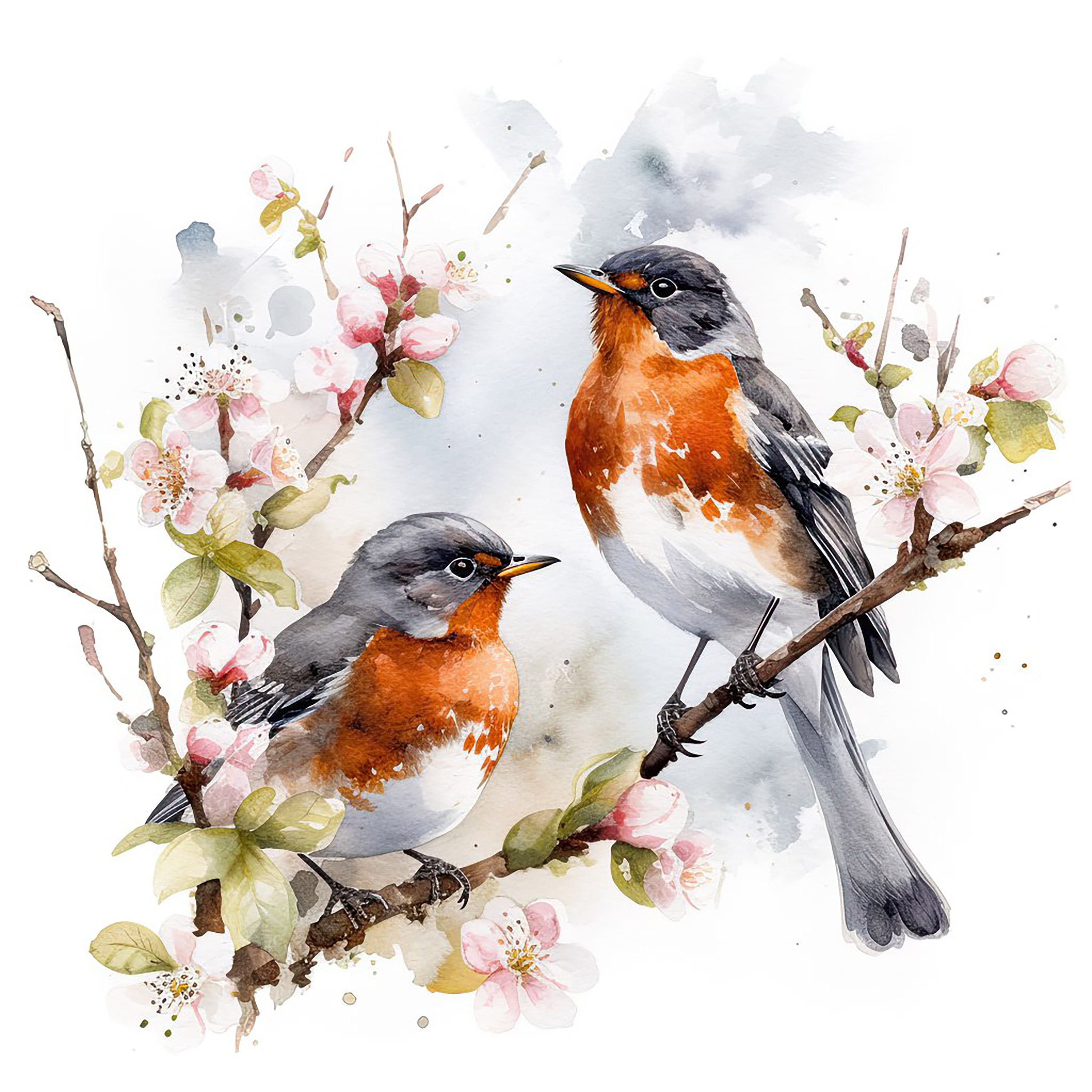Pair of Robins Color Painting 12 High Quality JPG Clipart Pack Digital ...