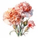 Carnation Bouquet Water Color Painting 12 High Quality JPG Clipart Pack ...