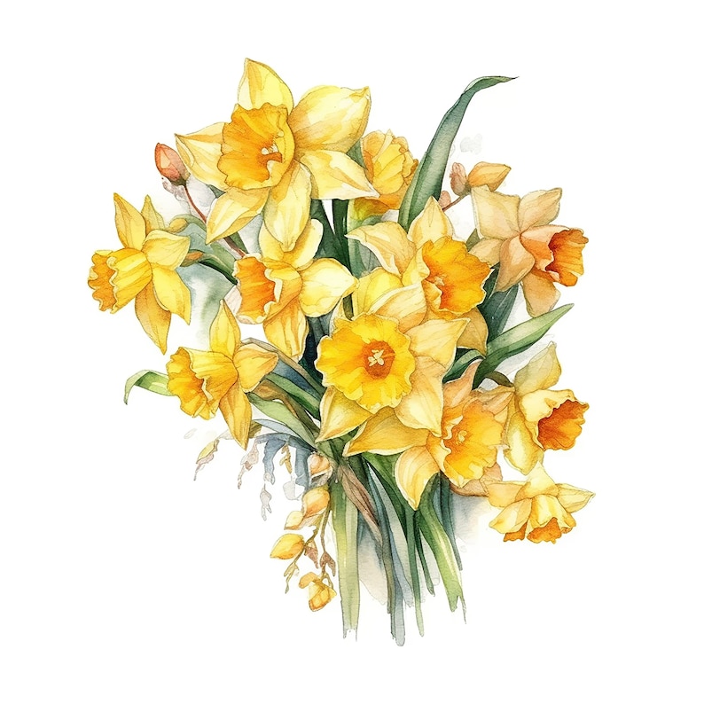 Jonquil Bouquet Water Color Painting | 12 High Quality JPG Clipart Pack ...