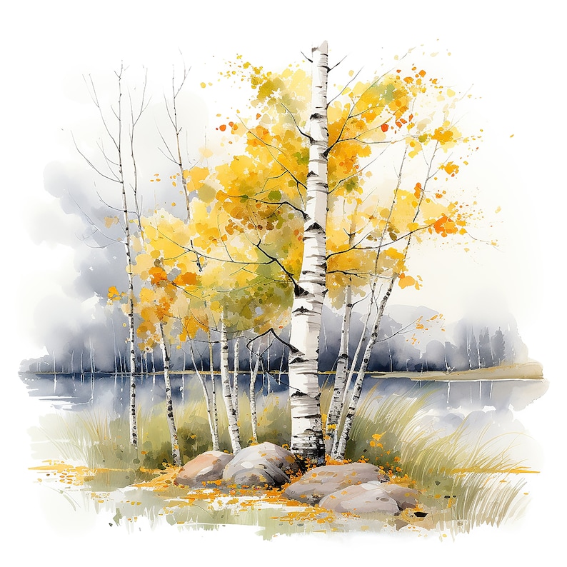Variety of Birch Trees Water Color Painting | 15 High Quality JPG ...