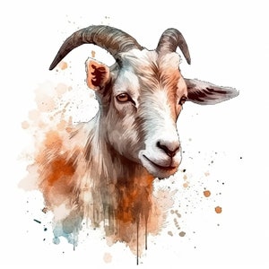 Goat Water Color Painting | 12 High Quality JPG Clipart Pack | Digital ...
