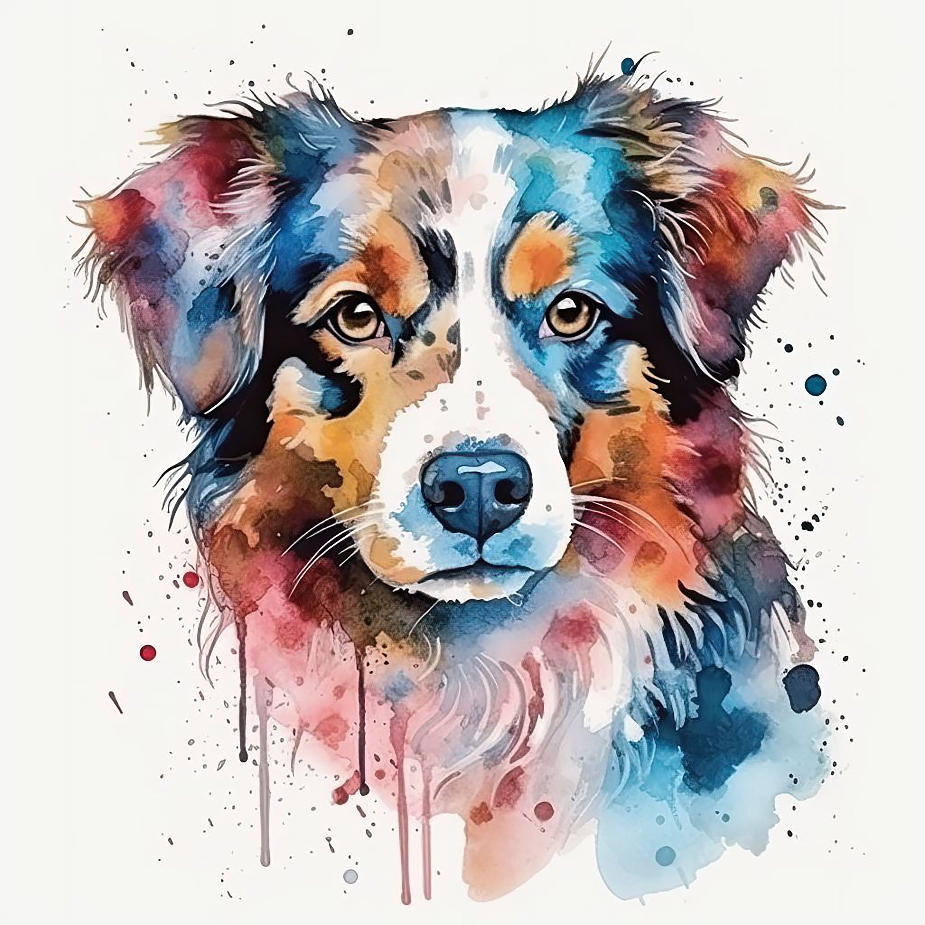 Australian Shepherd Pop Art Water Color Painting | 12 High Quality JPG ...